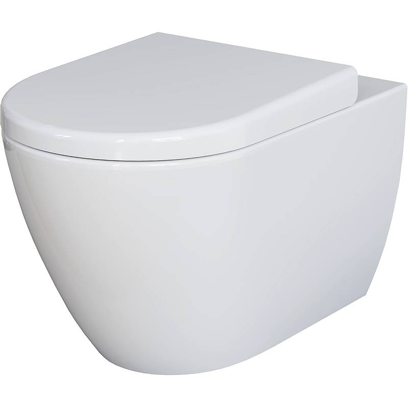 Унитаз подвесной Ambassador Queen 113T20001R-112T20001 белый глянцевый ...