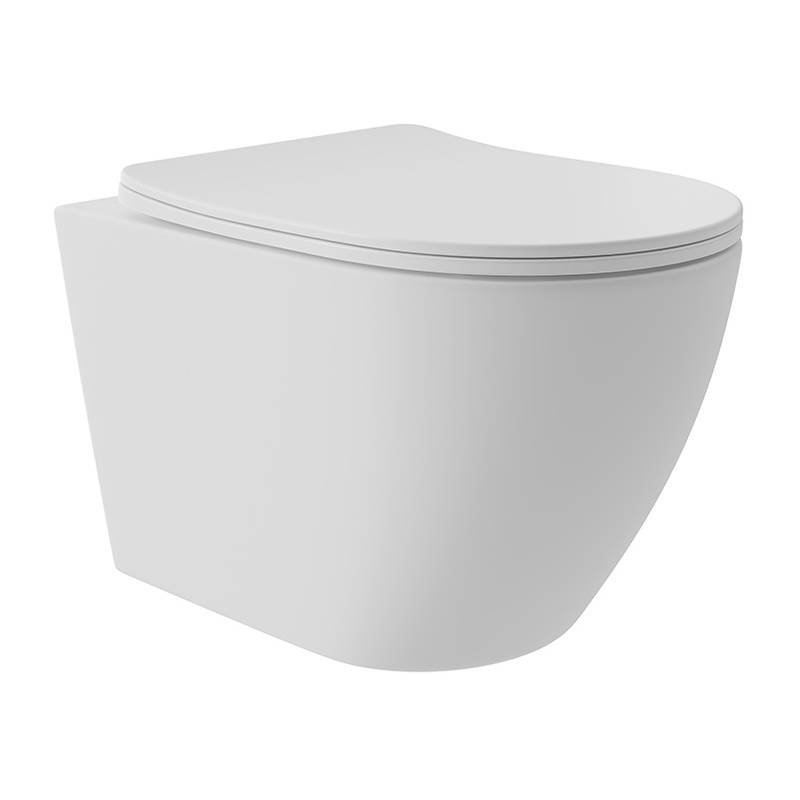 Унитаз Aqueduto Ovo Plus OVOT0220 безободковый, микролифт, белый