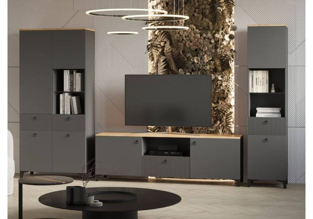 Стенка в гостиную Woodville Ника 595749 эйхория QR-17/графит ...